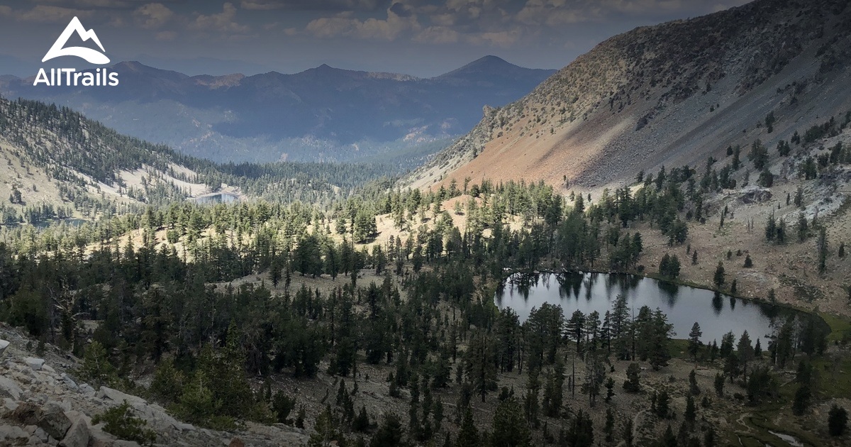 10 Best trails and hikes in Weed | AllTrails