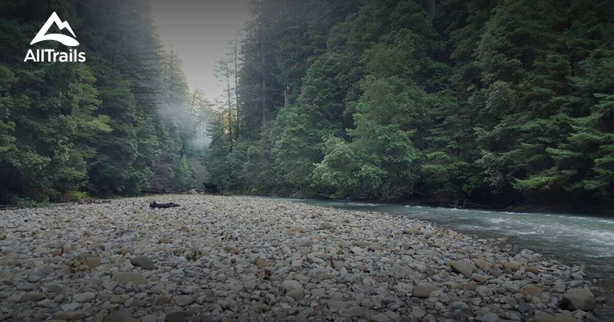 Best wheelchair-friendly trails in Weott | AllTrails