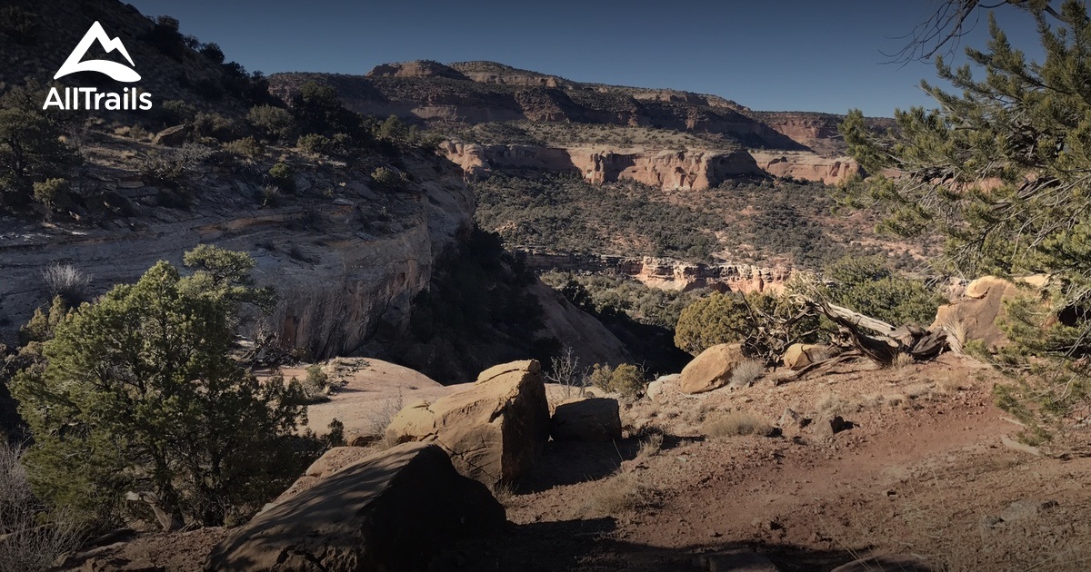 10 Best trails and hikes in Loma | AllTrails