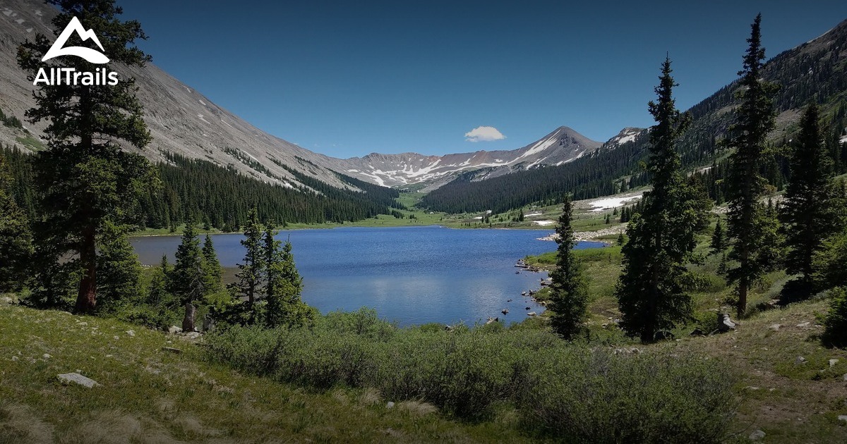 Best forest trails in Monarch | AllTrails