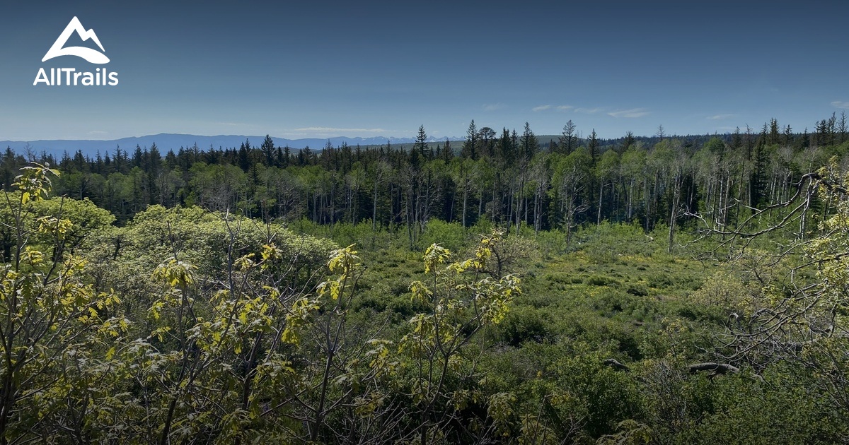 Best hikes and trails in Nucla | AllTrails