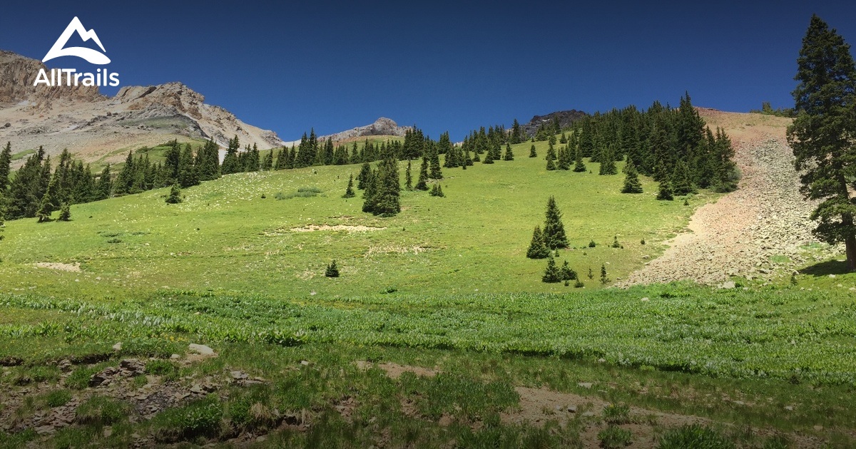 Best skiing trails in Ophir | AllTrails