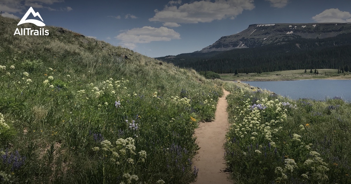 Best trails in Yampa, Colorado | AllTrails
