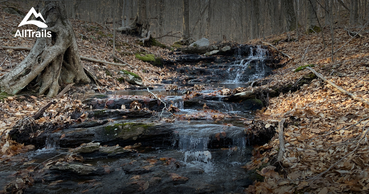 Best forest trails in Baltic | AllTrails