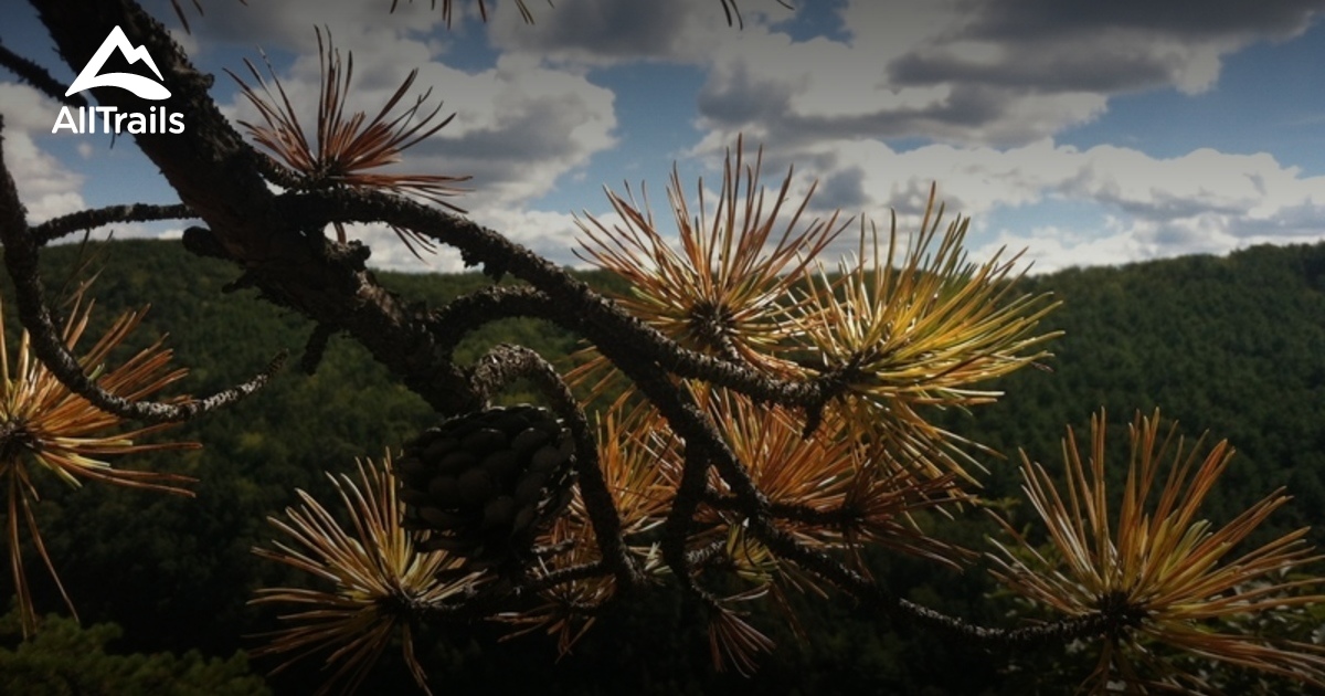 Best Trails near Beacon Falls, Connecticut | AllTrails.com