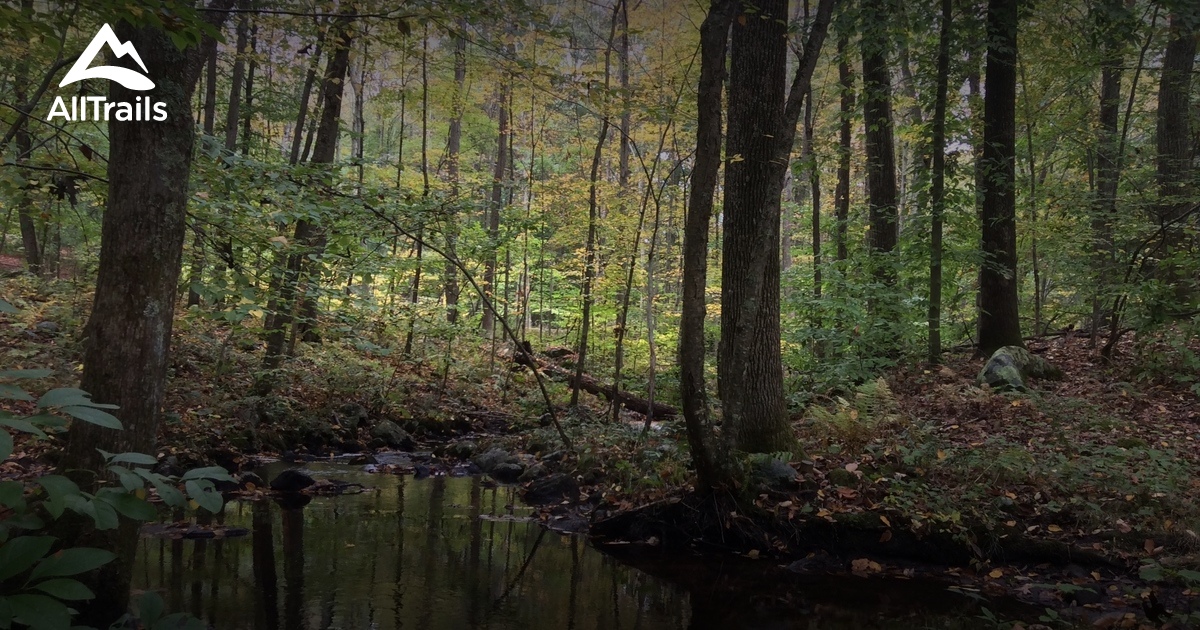 Best hikes and trails in Bethel | AllTrails