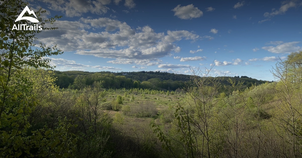10 Best trails and hikes in Bristol | AllTrails