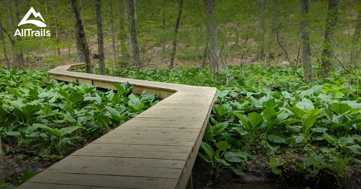 Best hikes and trails in Centerbrook | AllTrails