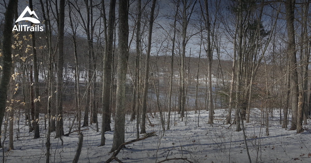 Die Besten Routen mit Aussicht in Columbia | AllTrails