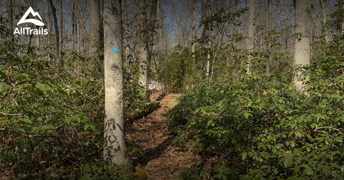 Best hikes and trails in Georgetown | AllTrails