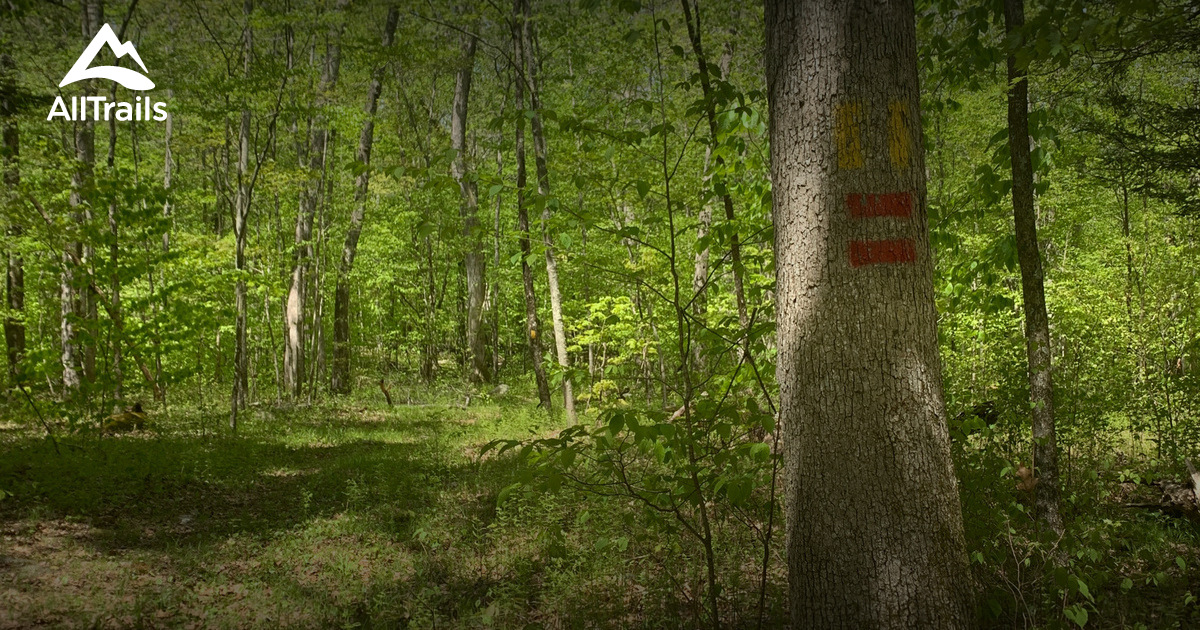 Best forest trails in Hanover | AllTrails