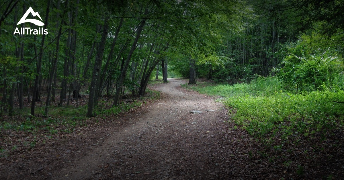 10 Best trails and hikes in Moodus | AllTrails