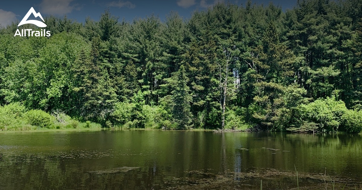 Best hikes and trails in Morris | AllTrails