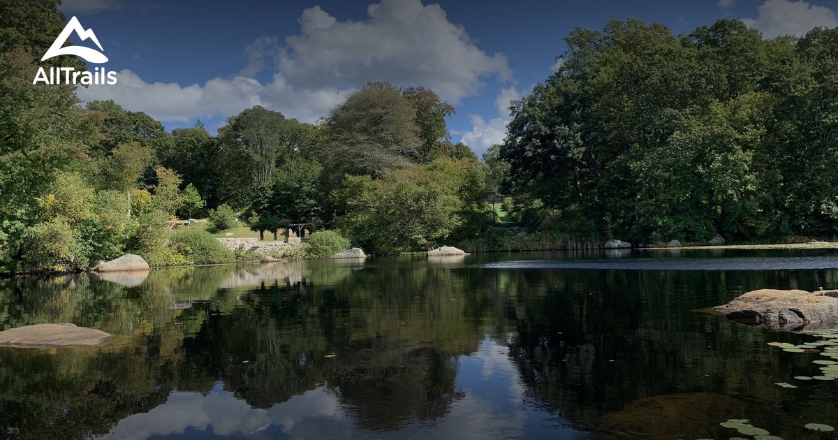 Best forest trails in New London | AllTrails