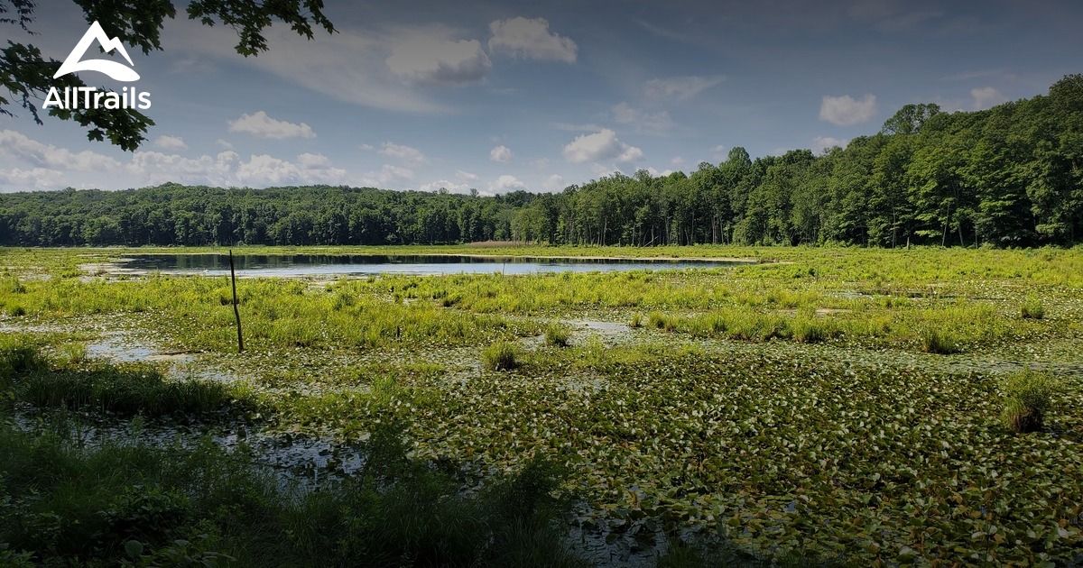 10 Best trails and hikes in Ridgefield | AllTrails