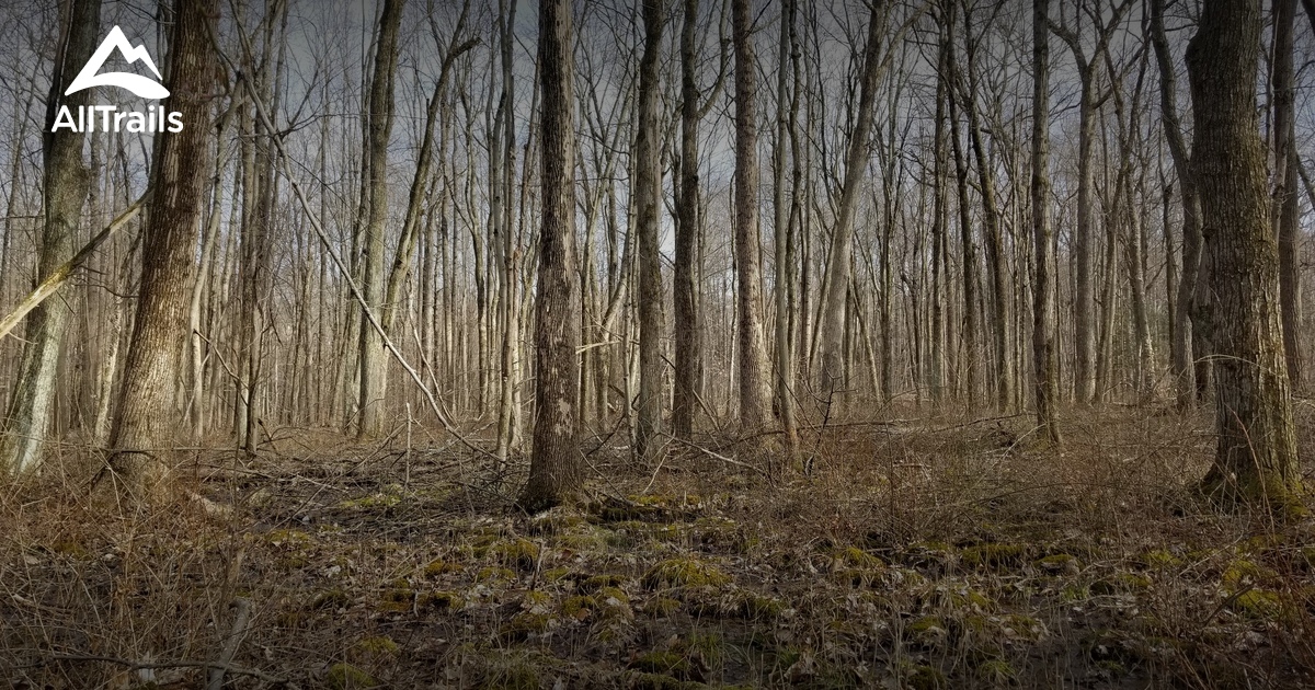 Best hikes and trails in Rockfall | AllTrails