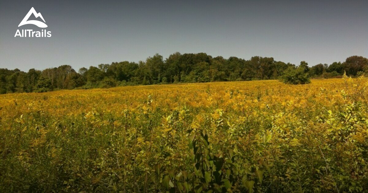 10 Best forest trails in Salem | AllTrails