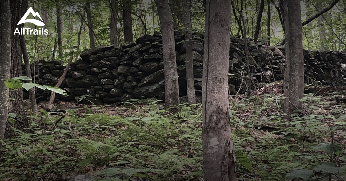 Best forest trails in South Kent | AllTrails