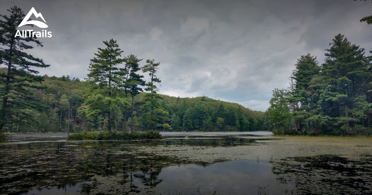Best river trails in Union | AllTrails