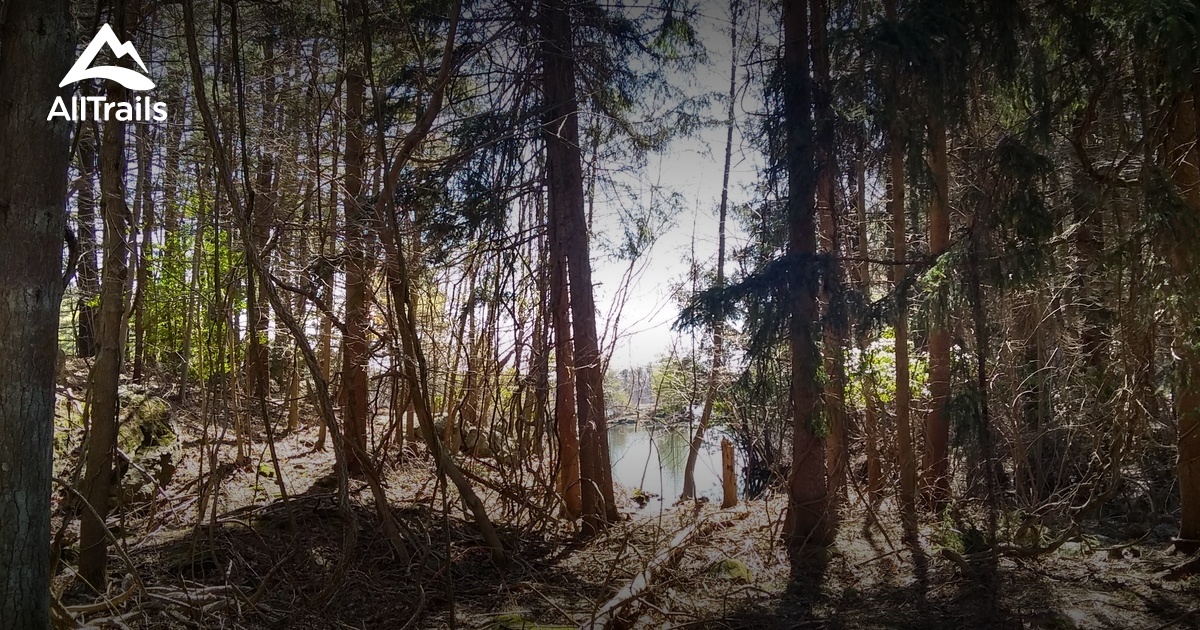 I migliori percorsi brevi in West Haven | AllTrails