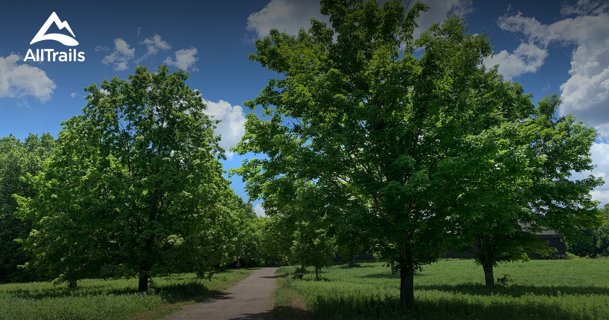 Best forest trails in Windsor | AllTrails