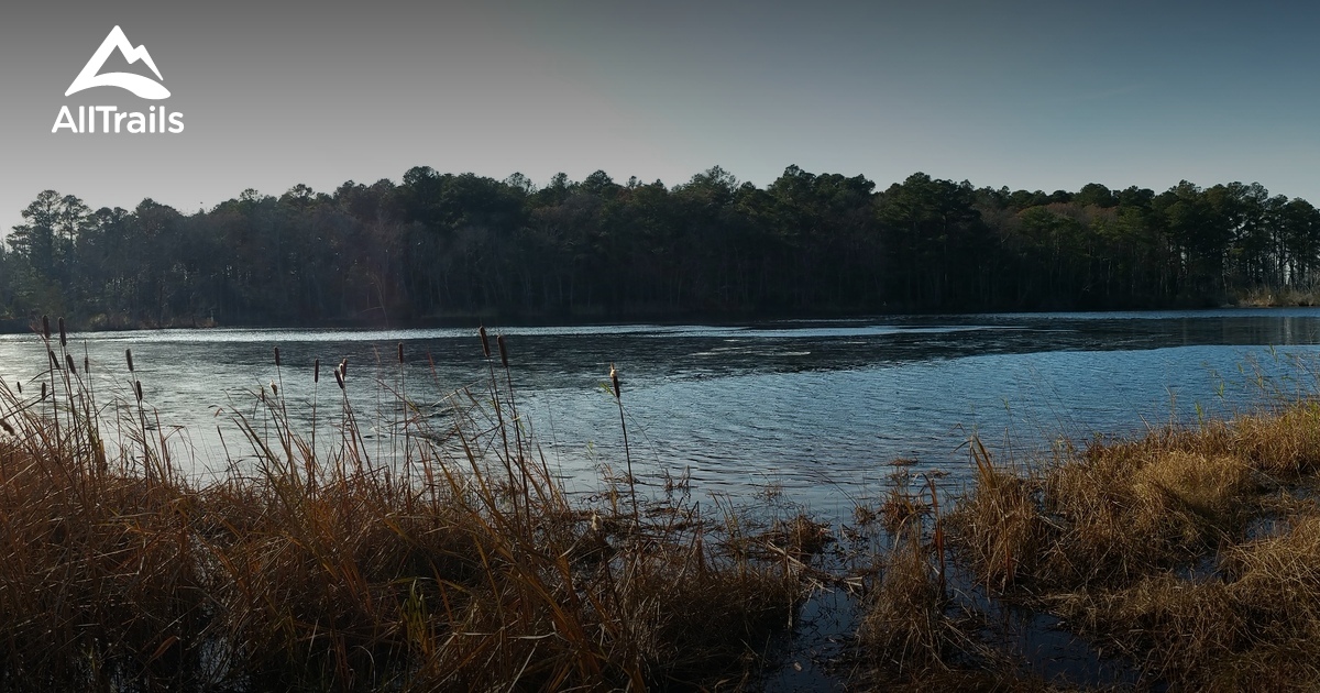 Best walking trails in Milton | AllTrails