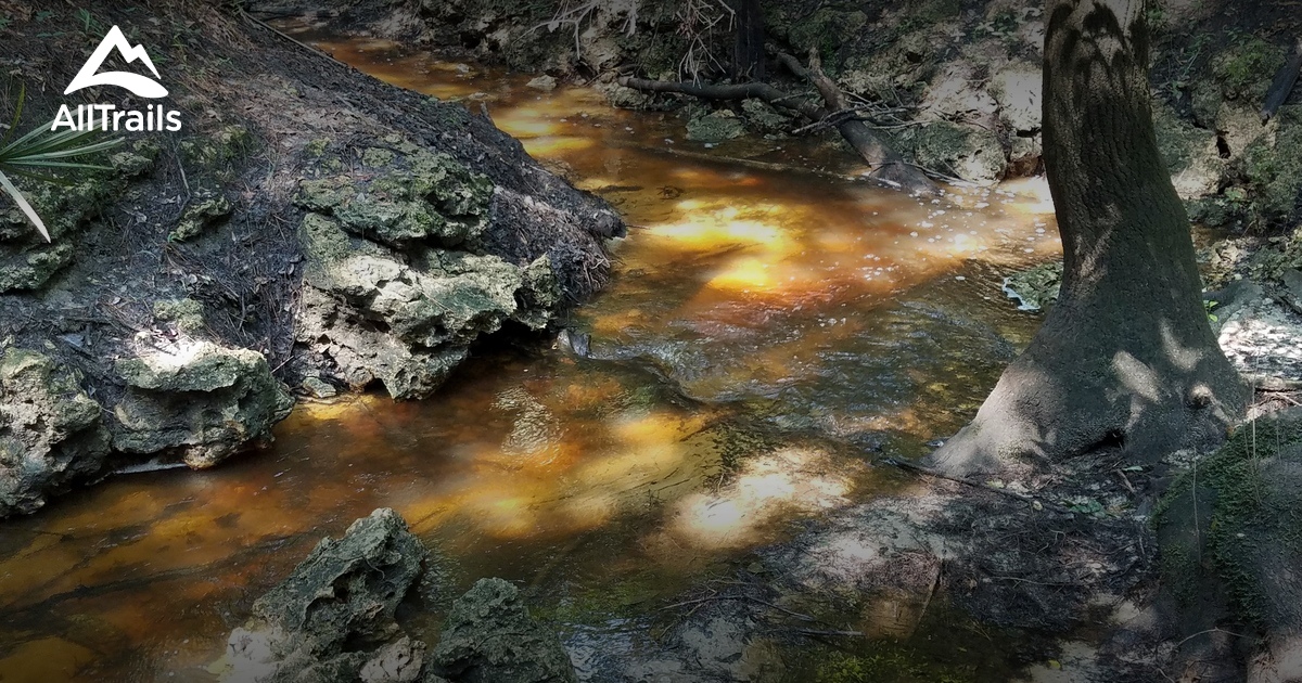 Best camping trails in Altha | AllTrails