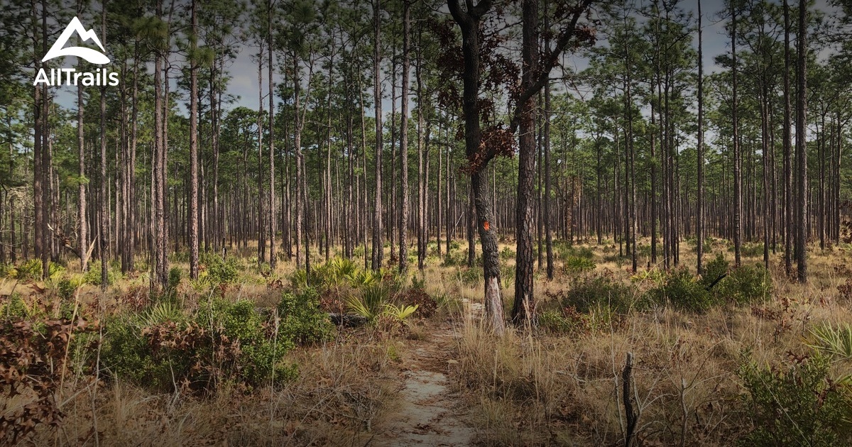 Best hikes and trails in Altoona | AllTrails