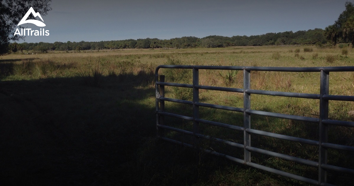 Best forest trails in Arcadia | AllTrails