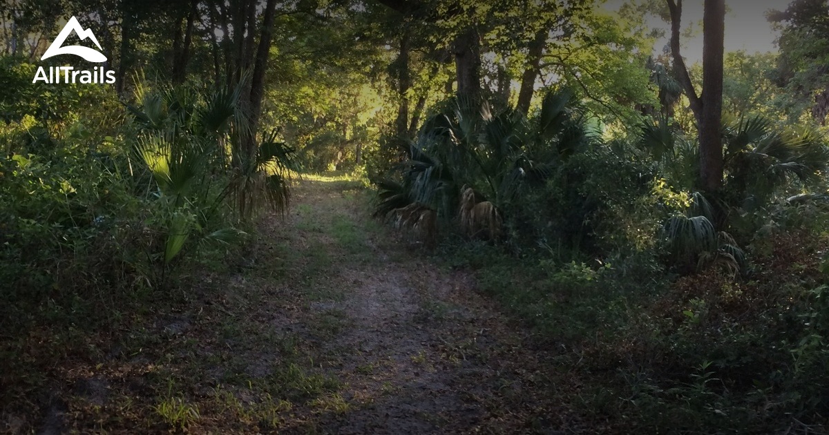 Best walking trails in Aripeka | AllTrails