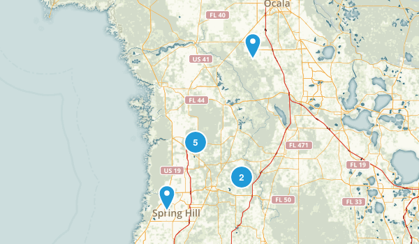 Best Trails near Brooksville, Florida | AllTrails