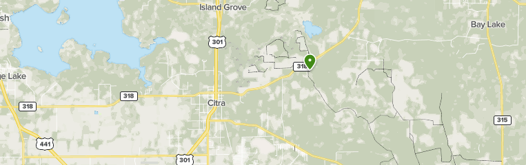 Best Hikes and Trails in Citra | AllTrails