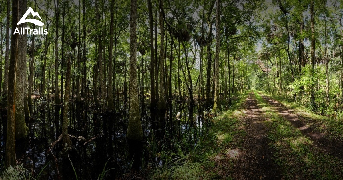 10 Best trails and hikes in Crawfordville | AllTrails