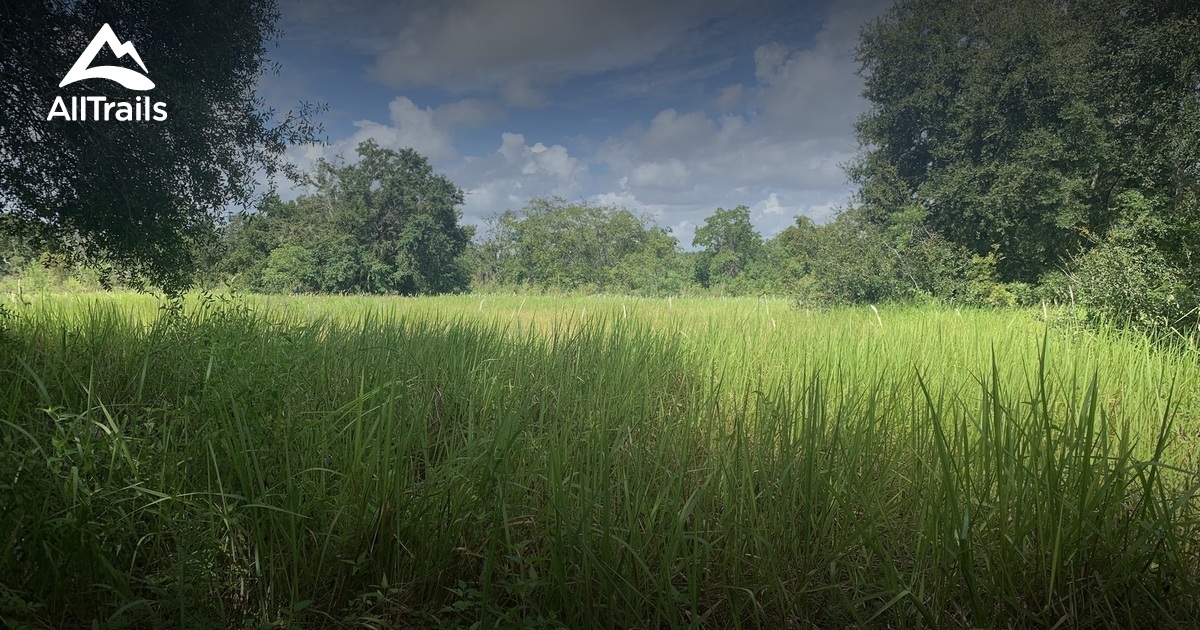 Best hikes and trails in Dover | AllTrails