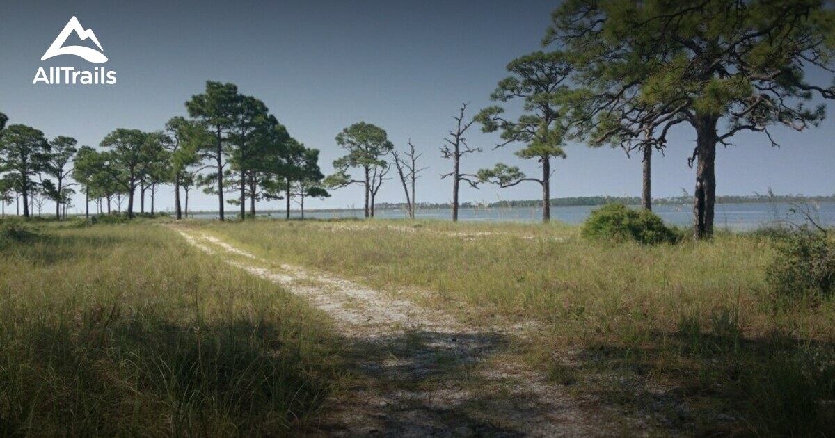 Best hikes and trails in Eastpoint | AllTrails