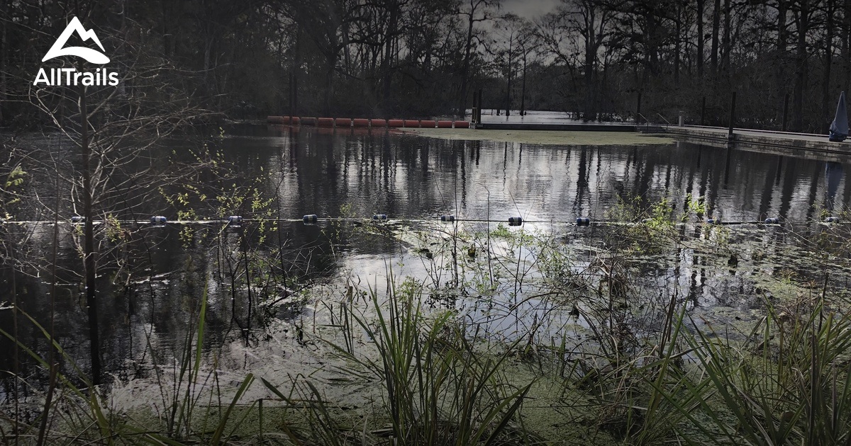 Best hikes and trails in Fanning Springs | AllTrails