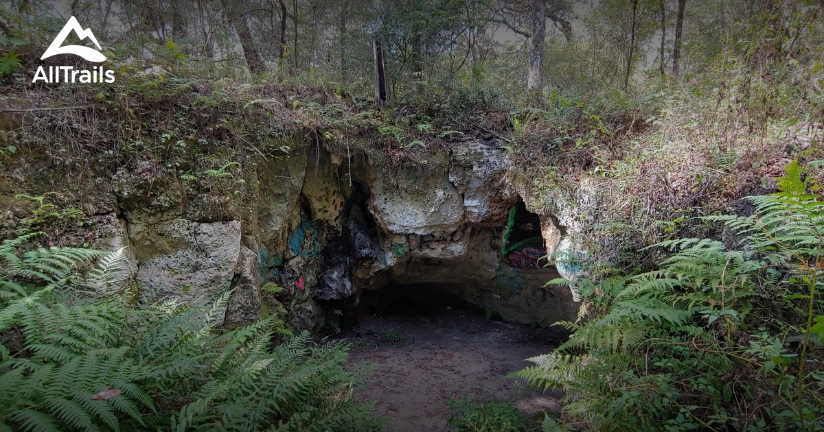 Best hikes and trails in Floral City | AllTrails