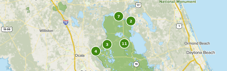 Best trails in Fort Mc Coy, Florida | AllTrails