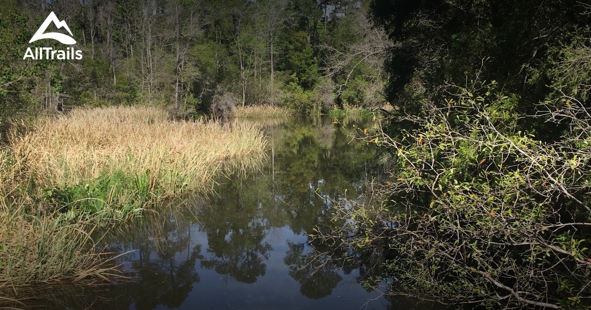 Best hikes and trails in Gonzalez | AllTrails