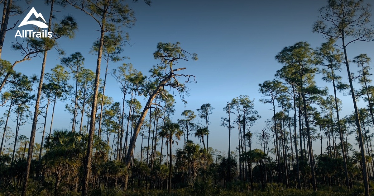 Best hikes and trails in Goodland | AllTrails