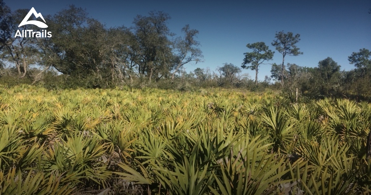 Best hikes and trails in Greater Sun Center | AllTrails