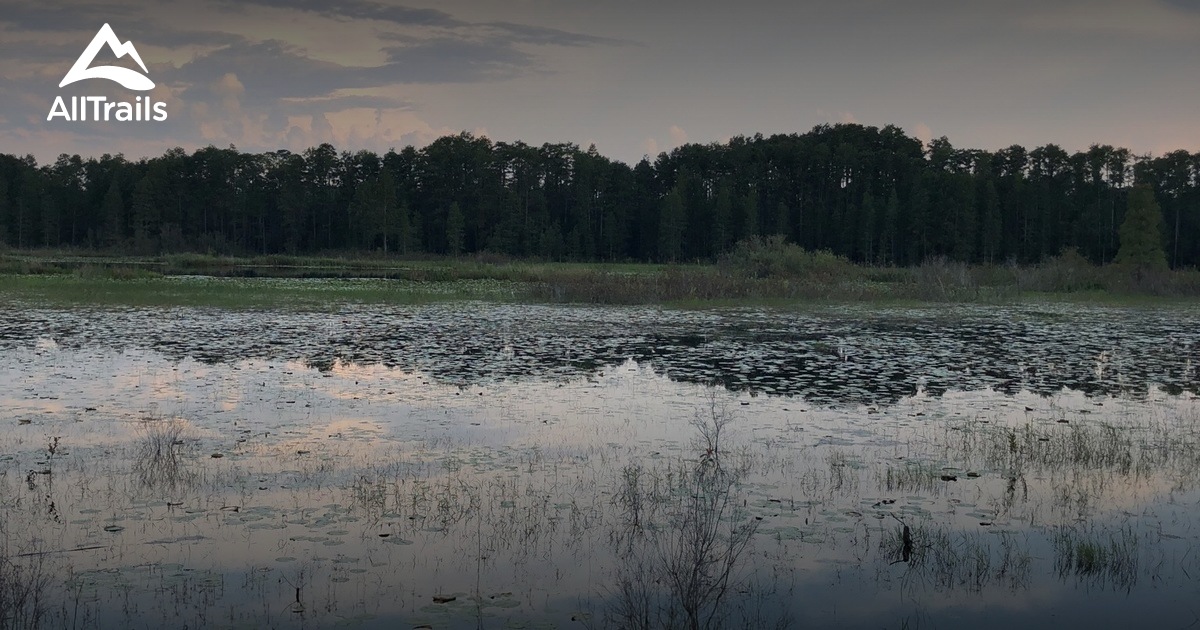 Best trails in Hernando, Florida | AllTrails