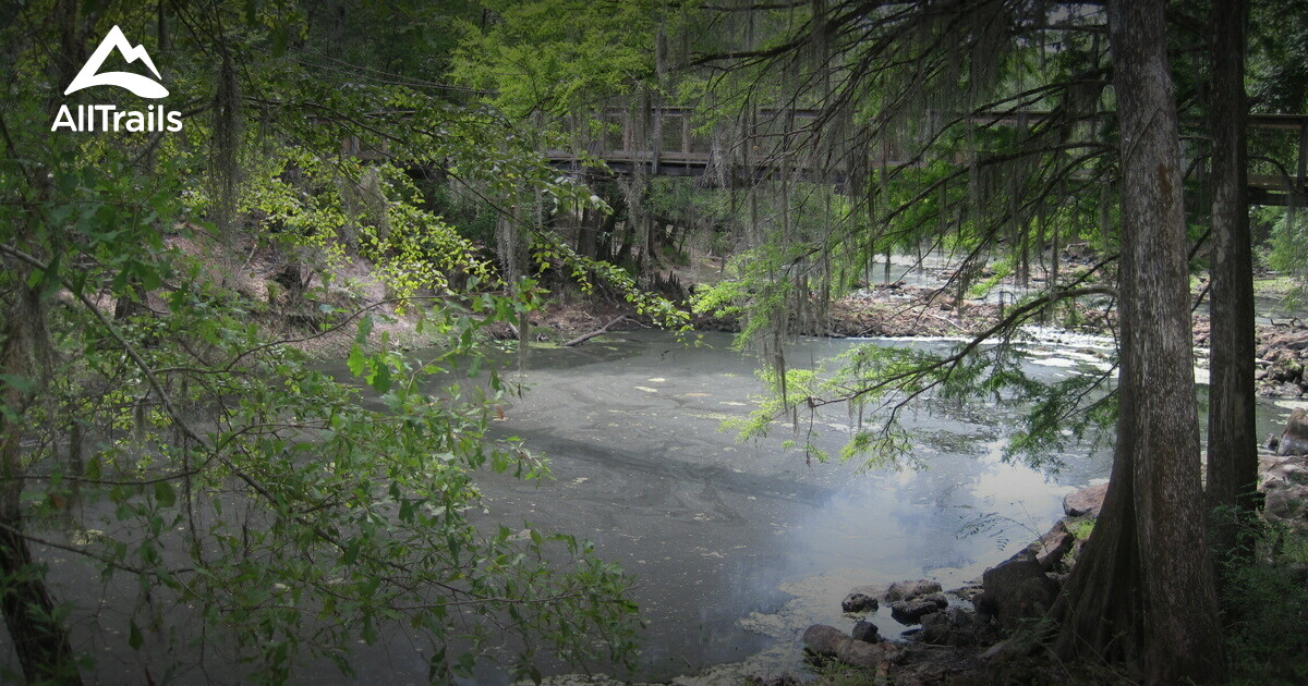 10 Best trails and hikes in High Springs | AllTrails