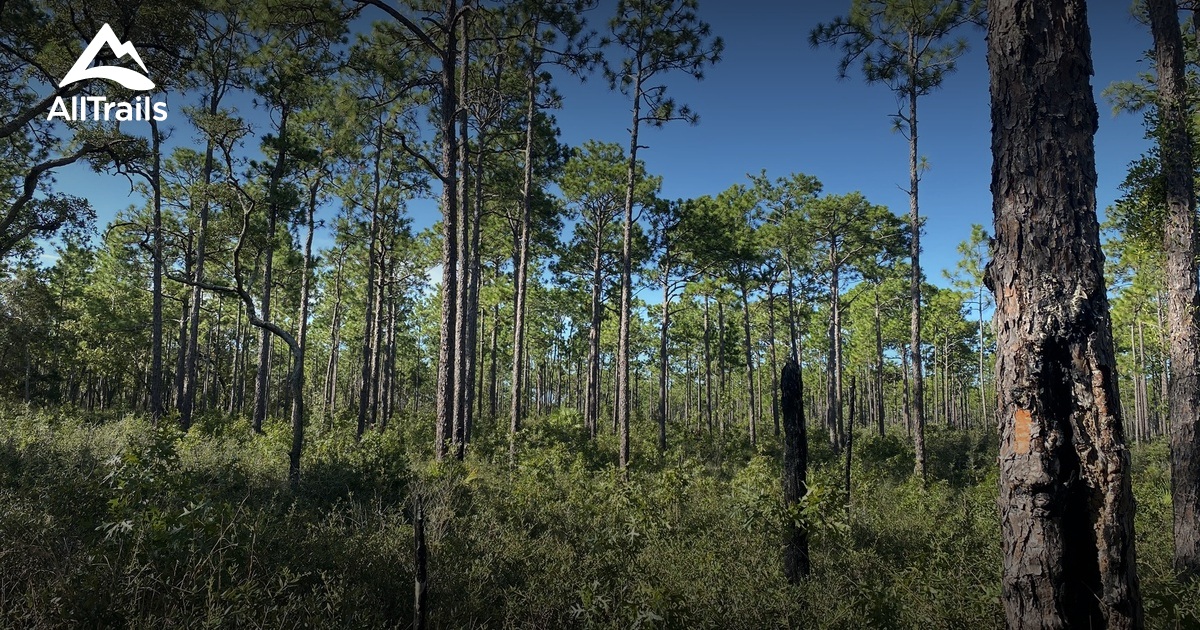 10 Best easy trails in Inverness | AllTrails