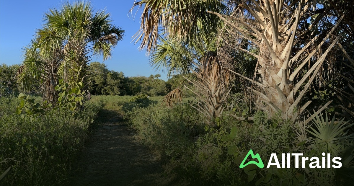 Best hikes and trails in Jupiter Island | AllTrails