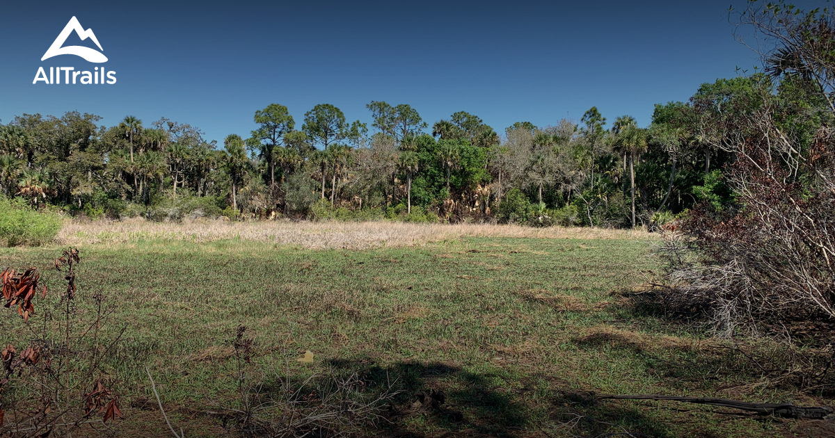 Best wildflower trails in Labelle | AllTrails