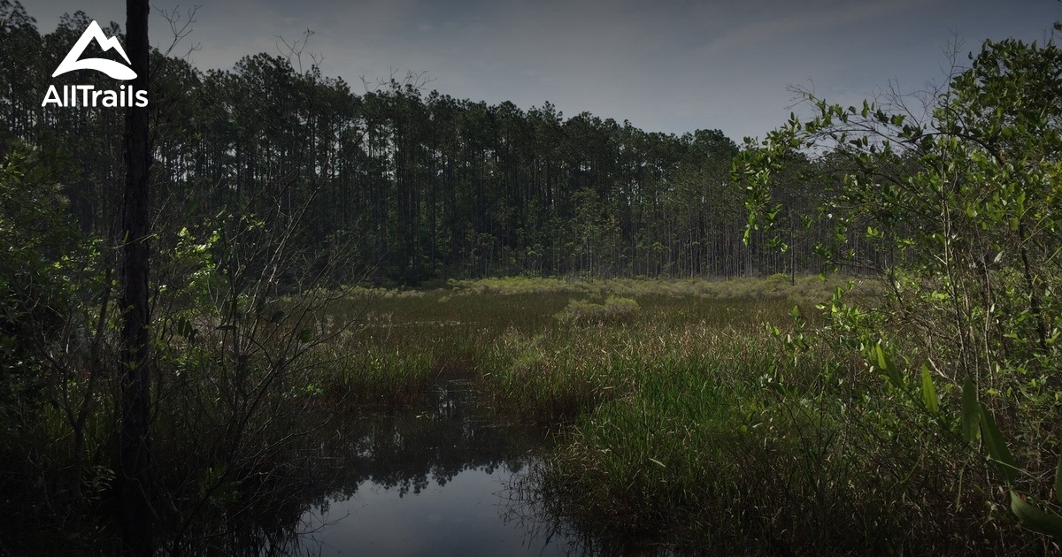 Best hikes and trails in Lake Butler | AllTrails