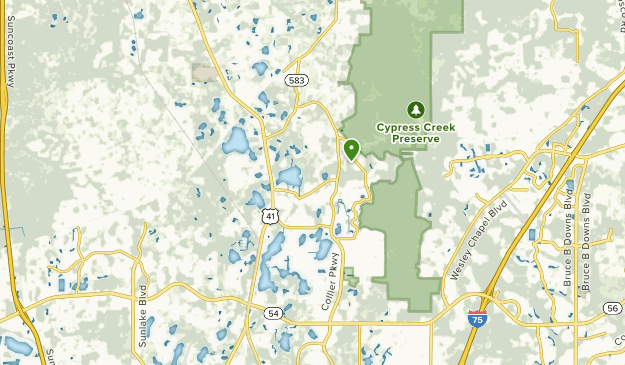 Best Trails near Land O' Lakes, Florida | AllTrails