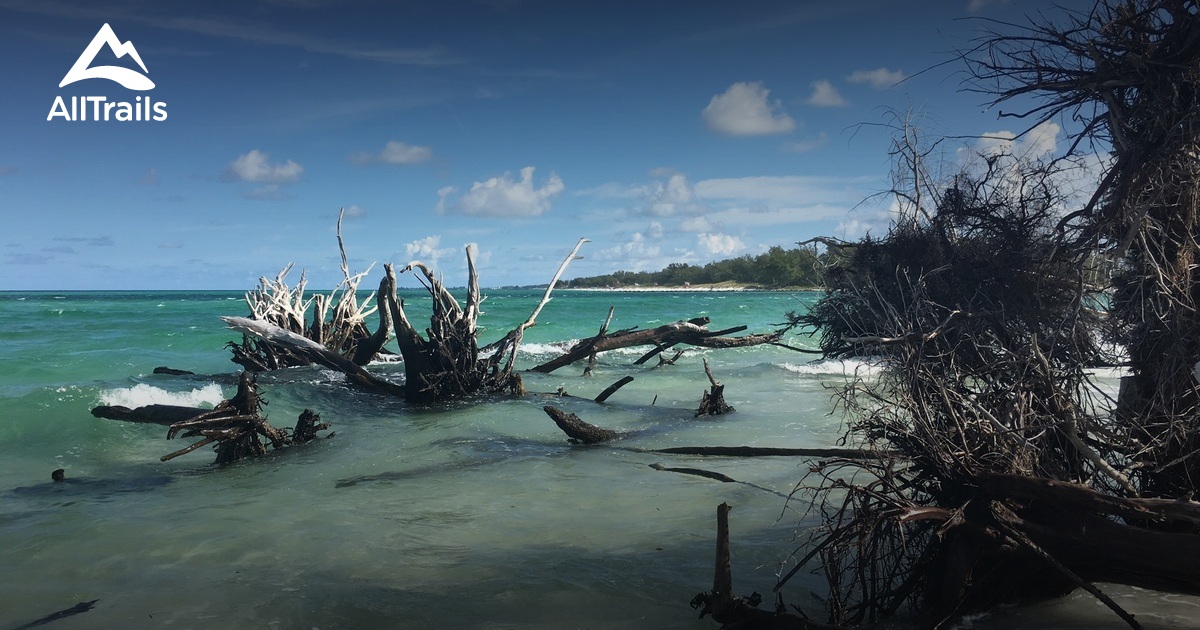 Best walking trails in Longboat Key | AllTrails
