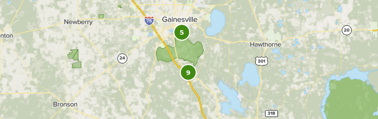 Best Trails near Micanopy, Florida | AllTrails